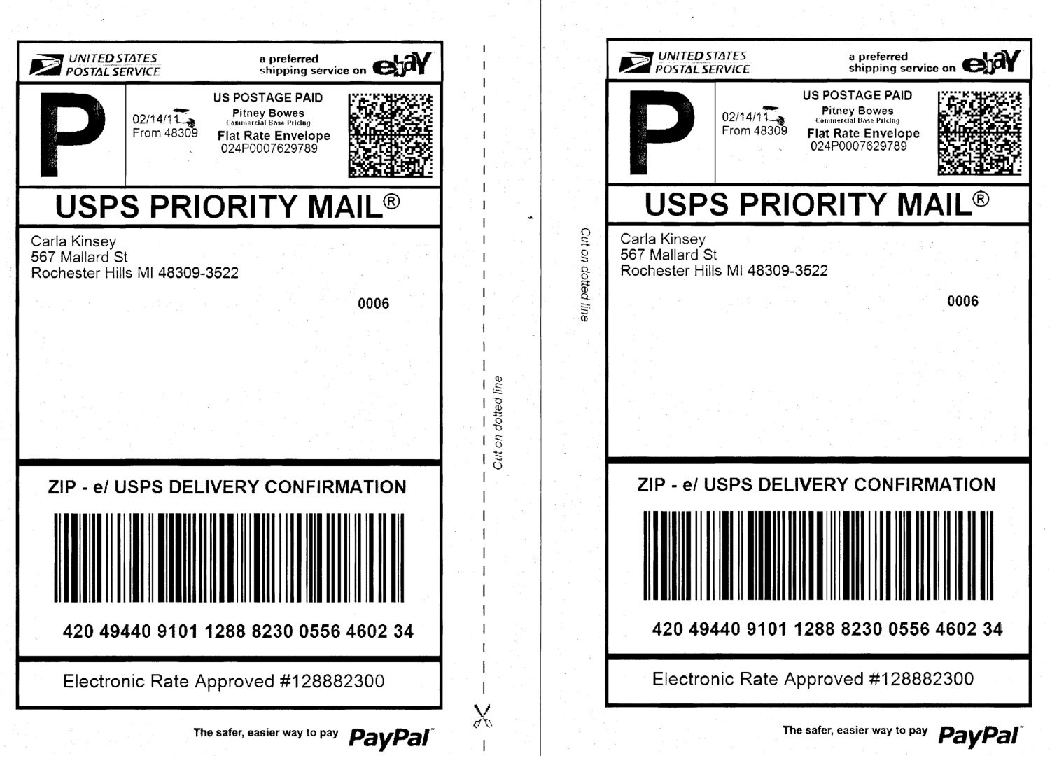Domestic Shipping Included 50 Self Adhesive Labels Shipping Mailing 2 