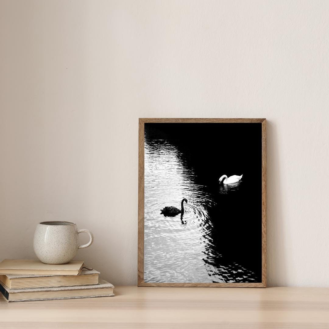 Black and White Swan Wall Art | Yin Yang Minimal Photography | Modern ...