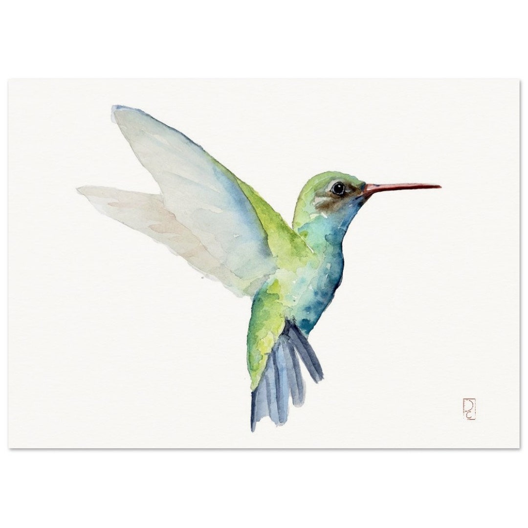 HUMMINGBIRD Watercolor Art Print, Humming Bird Painting - Etsy