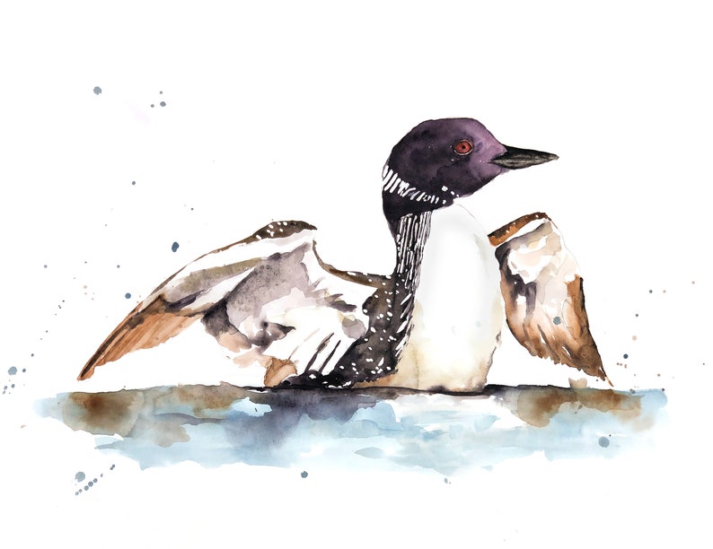 LOON Watercolor Art Print Loon Bird Painting Loony - Etsy