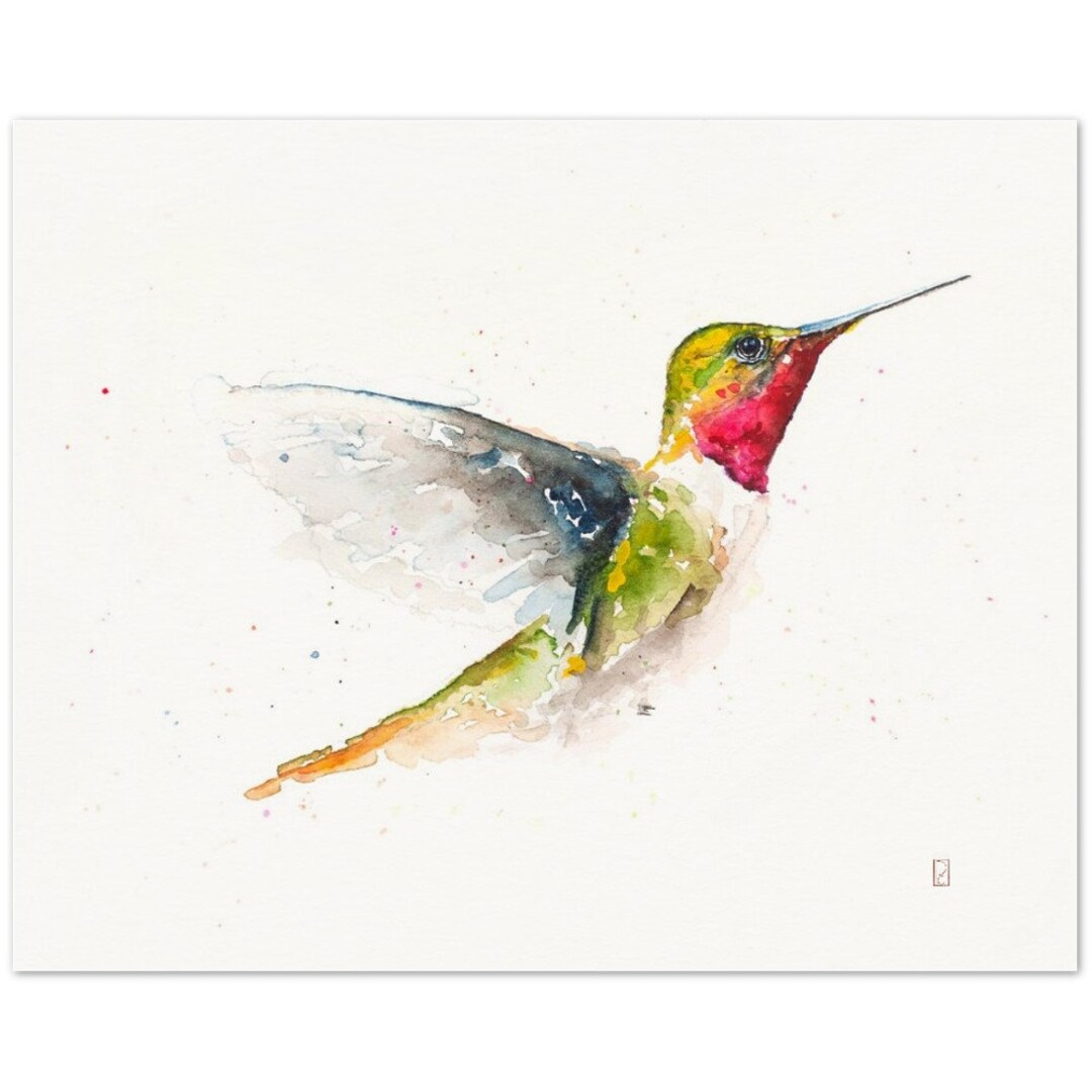 Watercolour Humming Bird 10x8 Inches Print of My Original - Etsy