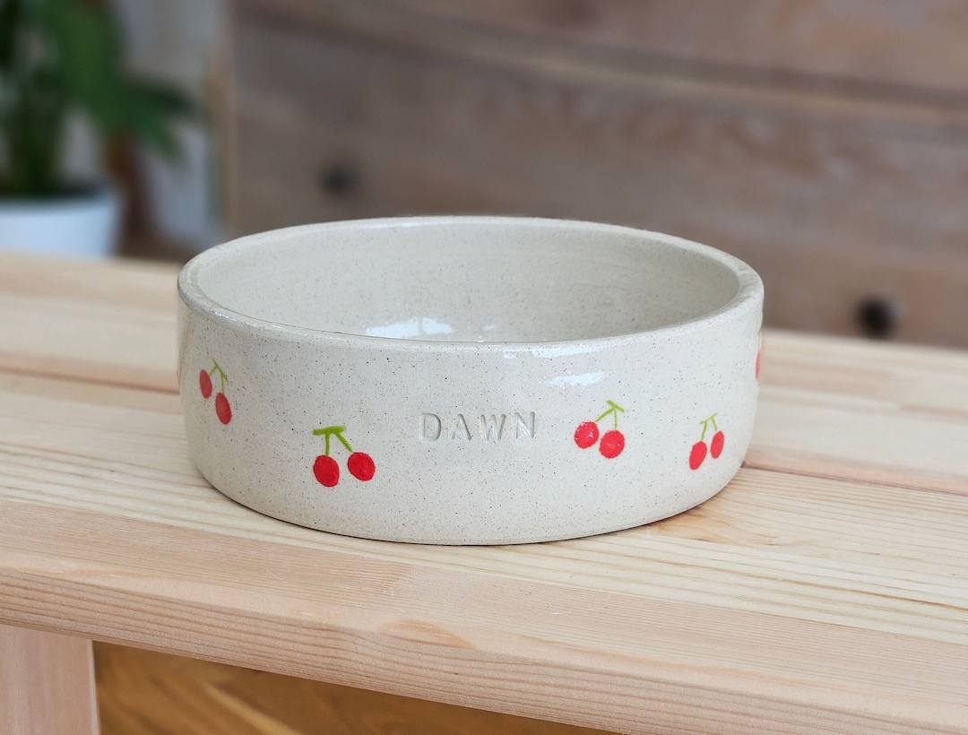 Custom Handmade Personalized Pottery Pet Bowl for Your Beloved ...