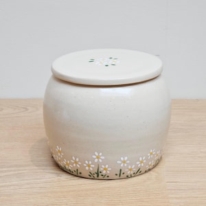 Personalized Daisies Ceramic Urn: Custom Cremation Jar for Ashes, Pet ...