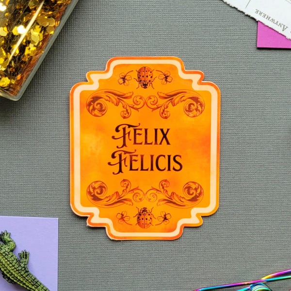 Felix Felicis Flask - Etsy