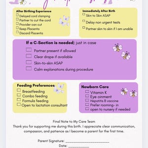 My Birth Plan Wishes Template - Etsy