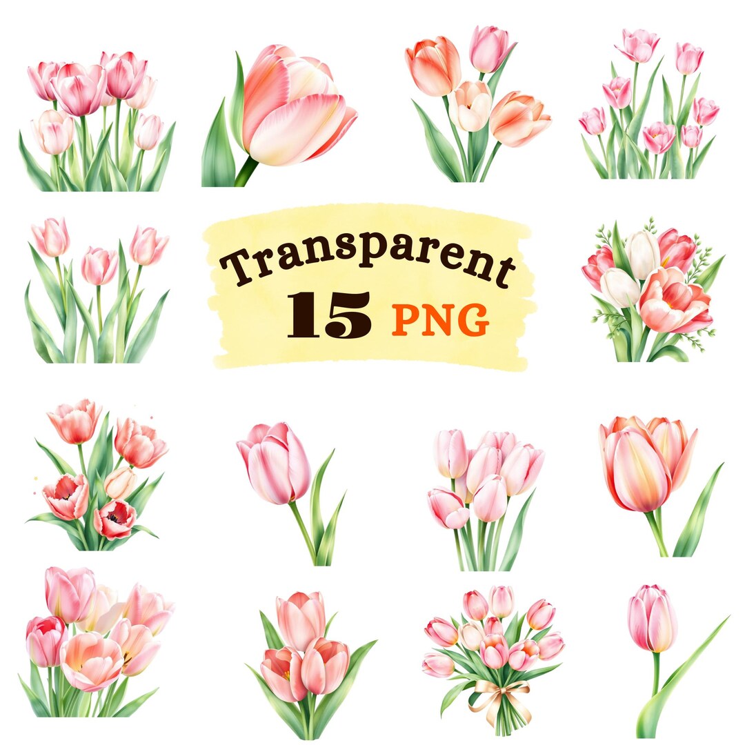 Watercolor Pink Tulip Clipart, Spring Floral PNG Bundle (commercial Use ...
