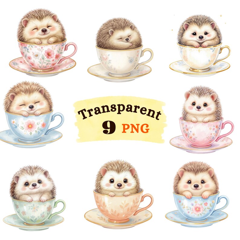 Watercolor Hedgehog Teacup Clipart, Nursery PNG Bundle (digital ...