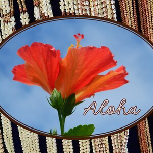 NIIHAU SHELL LEIS Sending Aloha - Hibiscus Flowers Shell Lei Hawaii All ...