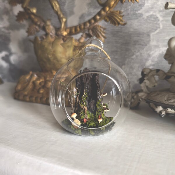 Hanging Terrariums - Etsy