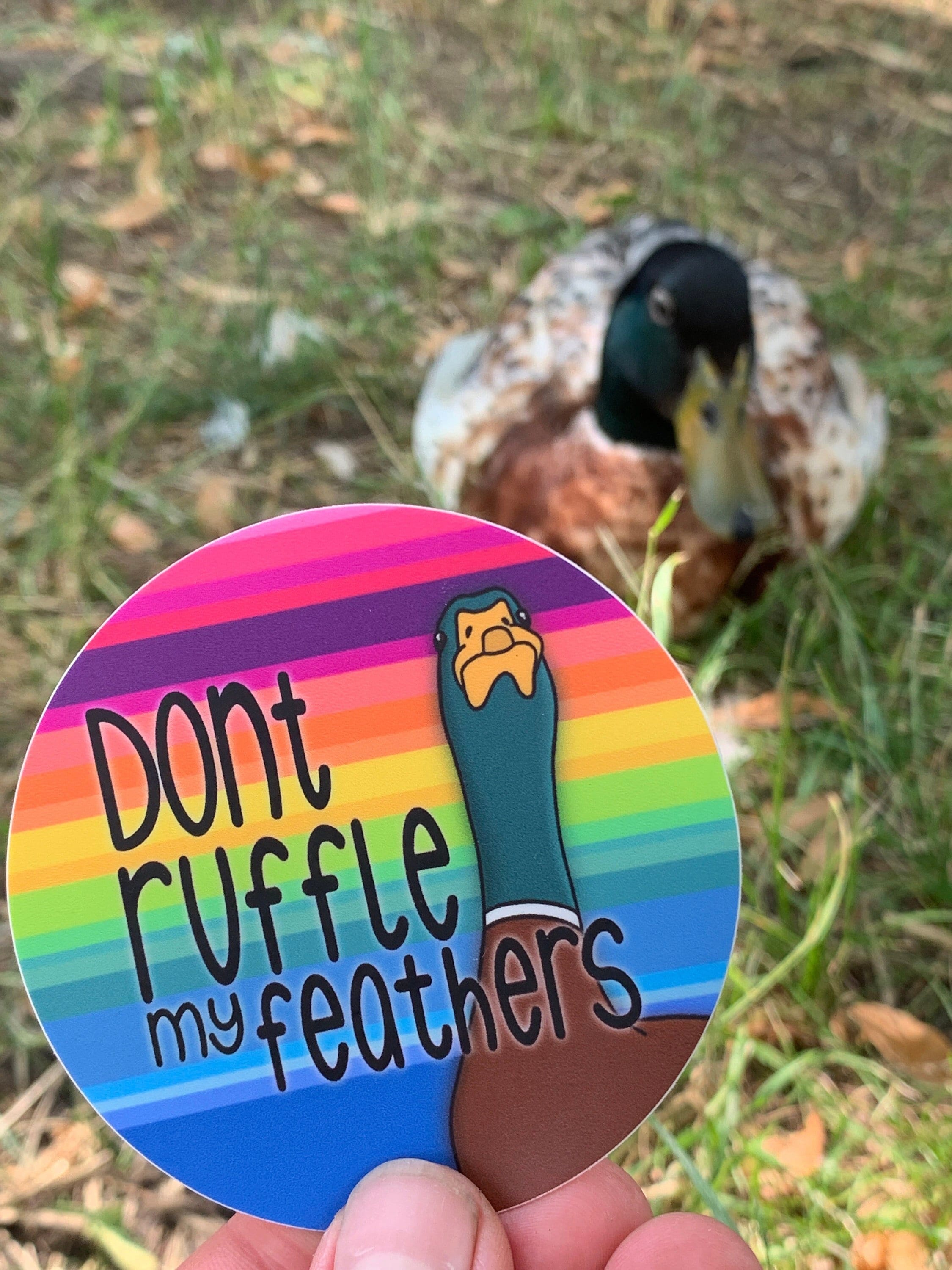 Ruffled Duck Feathers