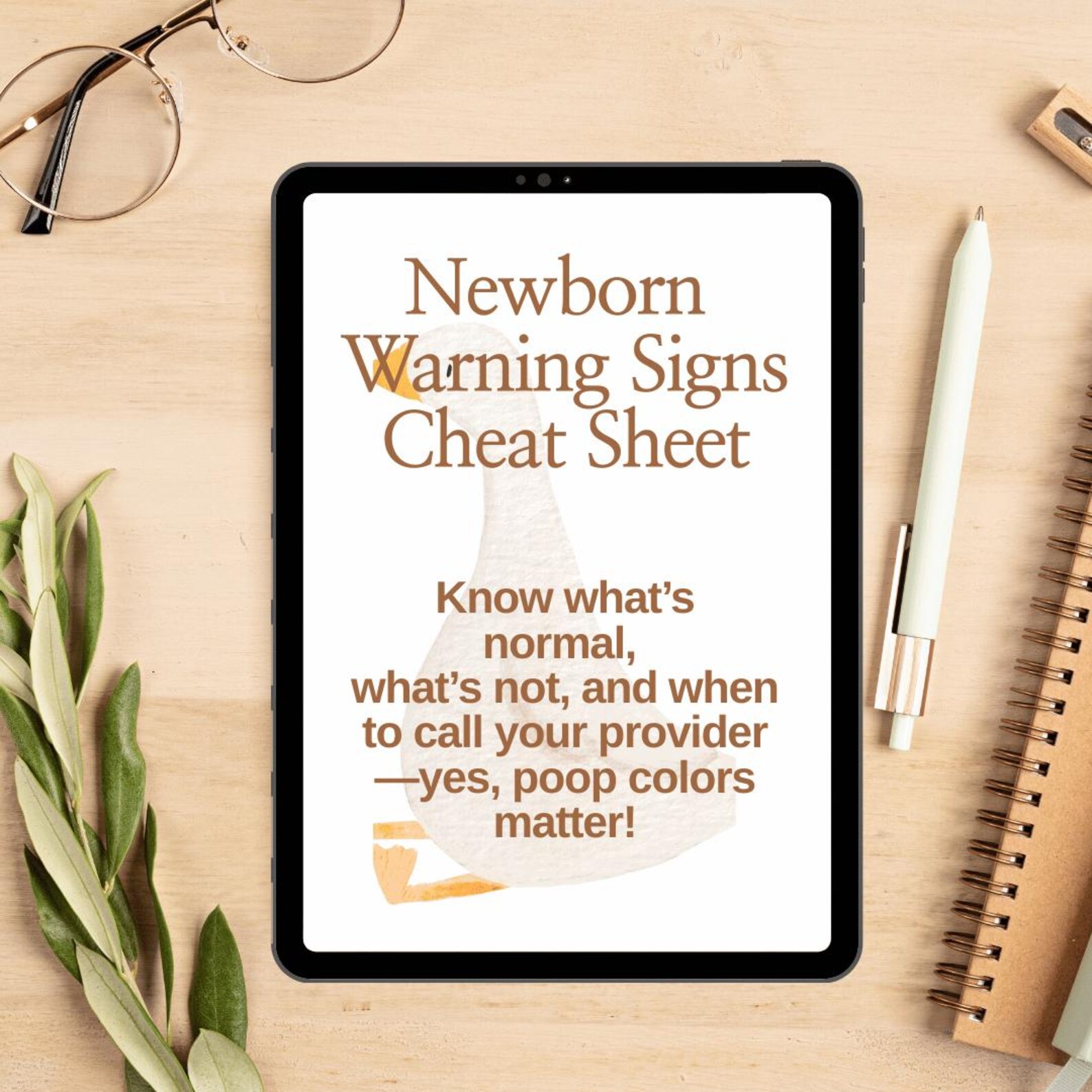 Newborn Warning Signs Cheat Sheet | Baby Poop Color Decoder | Infant ...