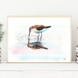 Sandpiper Watercolor Print, Poster, Canvas, Beach Art, Coastal Decor ...