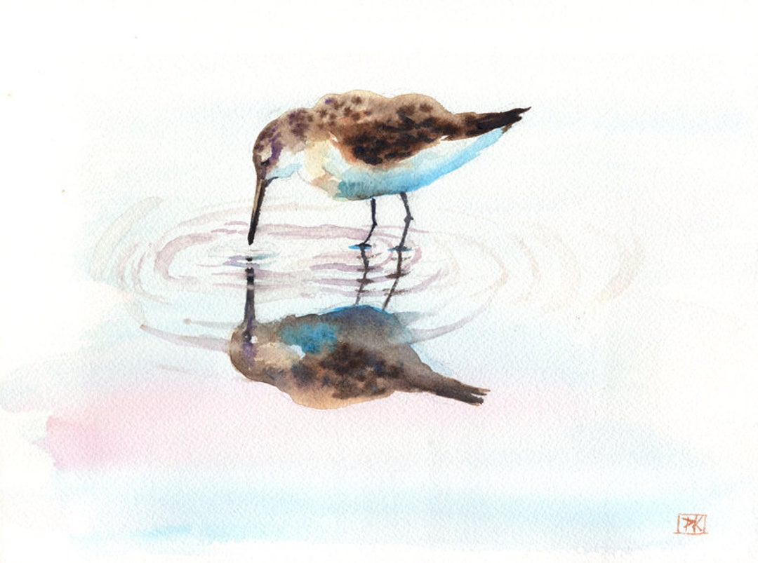 Sandpiper Watercolor Print, Poster, Canvas, Beach Art, Coastal Decor ...