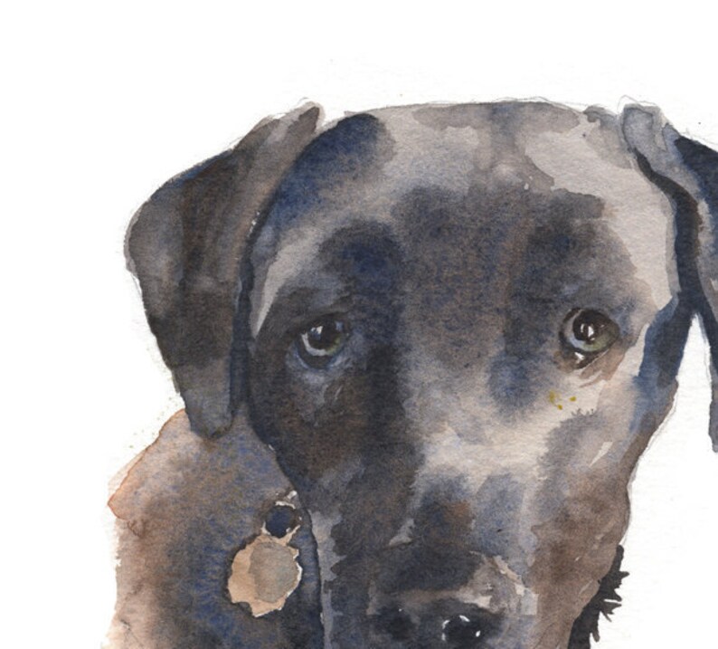 Black Lab Watercolor Print Black Lab Art Dog Print Dog Art - Etsy