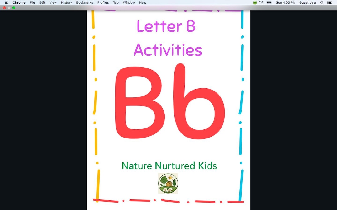 Letter B Activity Pack - Alphabet Coloring, Tracing, Letter Hunt, and ...