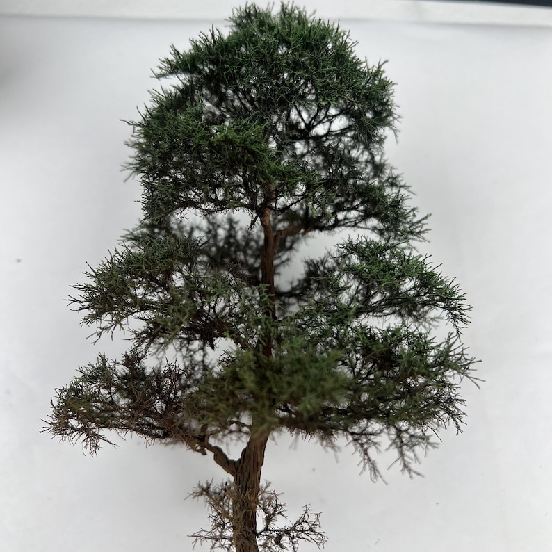 1:64 Wire Tree 3D Model, S-scale Train Layout (digital Download) - Etsy