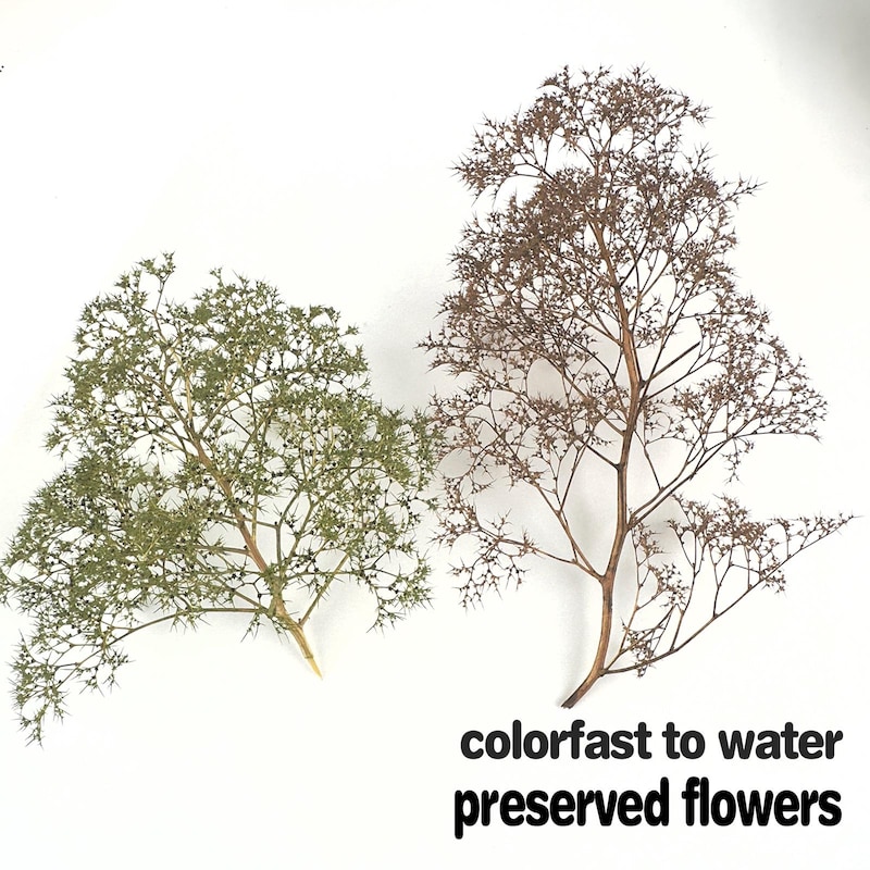 Grass Cluster Model - Etsy