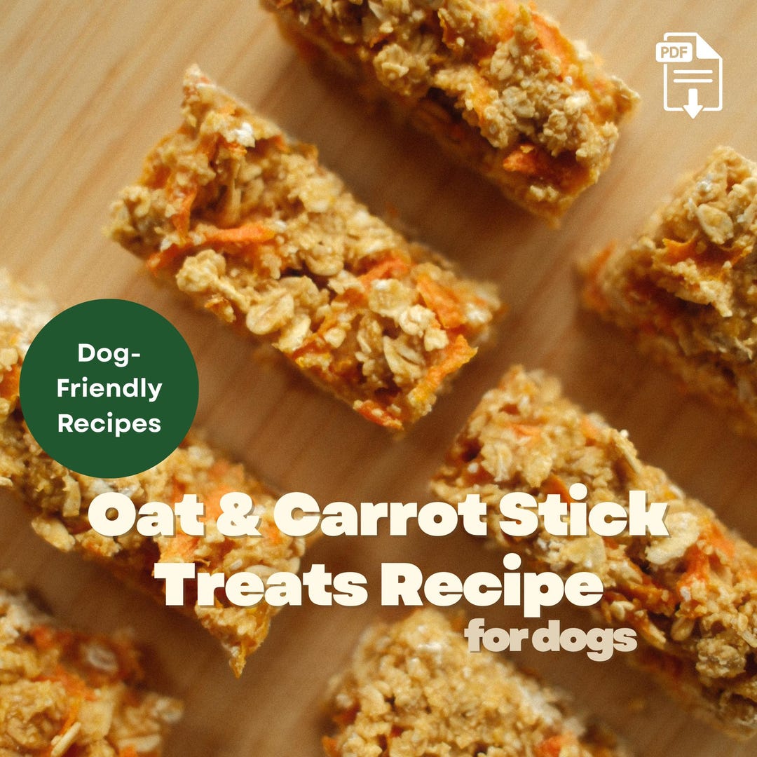 Dog-friendly Oat & Carrot Stick Treats – Healthy Pup Snack – Printable ...