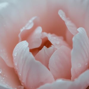 Soft Rain Ambient Nature Loops Vol. 1 – Calm Rain Wallpapers & Seamless ...
