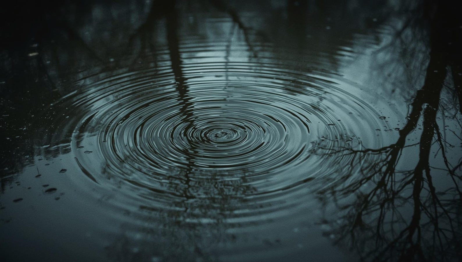 Soft Rain Ambient Nature Loops Vol. 1 – Calm Rain Wallpapers & Seamless ...