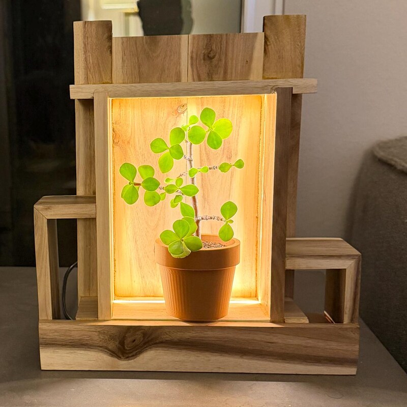 One of Kind Wood Lamp - Etsy