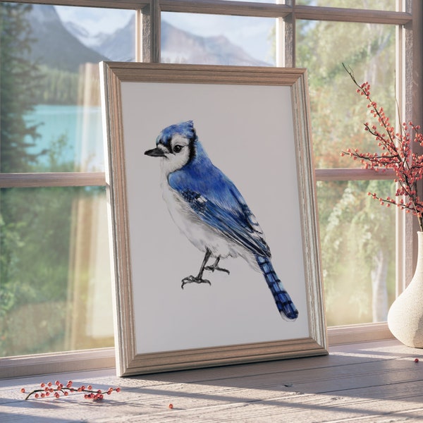 Blue Jay Print - Etsy
