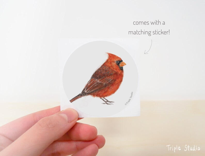 Red Cardinal Bird Card, Blank on the Inside Garden Note Cards, Bundle ...