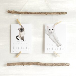 2026 Cat Desk Calendar W/ Stand - Monthly Small Mini Office Desktop ...
