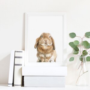 Bunny Rabbit Wall Art Print, Baby Animal Watercolor Painting for Girl ...