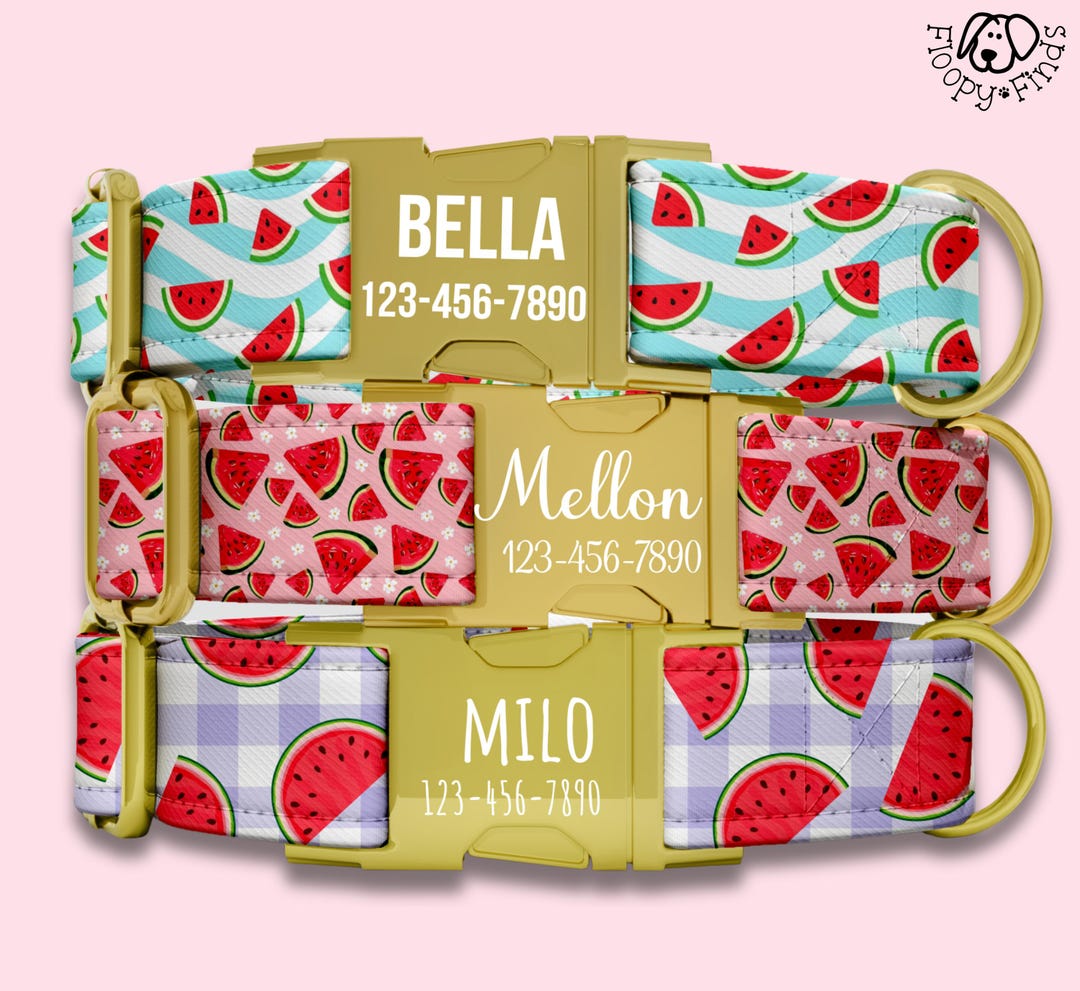Watermelon Fruit Dog Collar Personalized Engraved Gift for Dog Lover ...