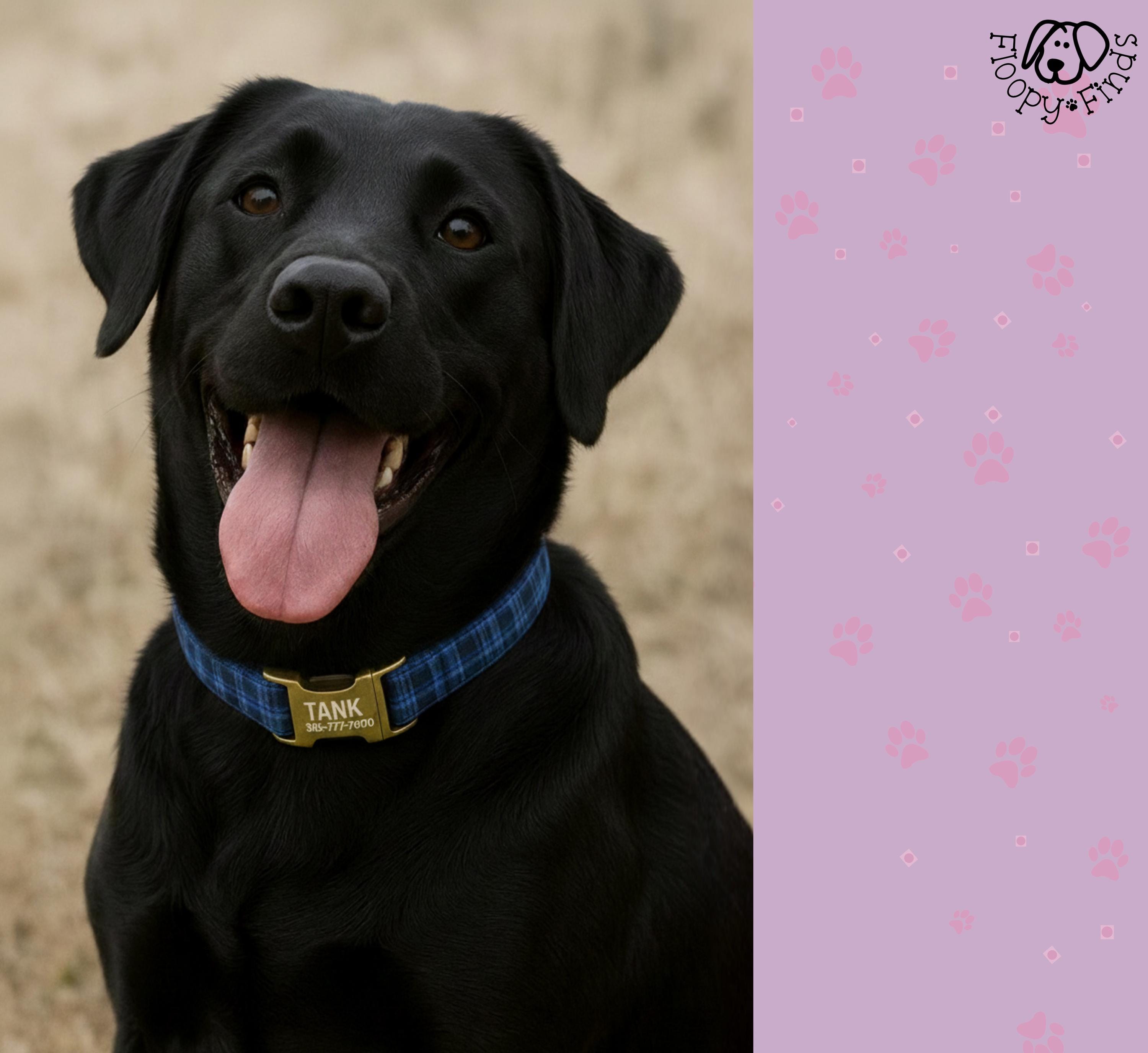 Mardi Gras Dog Collar Personalized Gift for Dog Owner Harlequin Collar ...