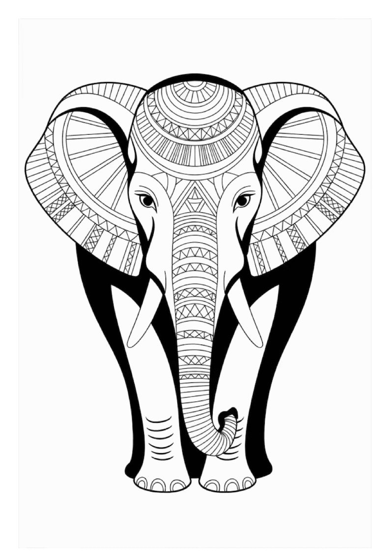 40 Animal Coloring Pages for Kids – Printable Animal Coloring Book PDF – Easy Preschool ...