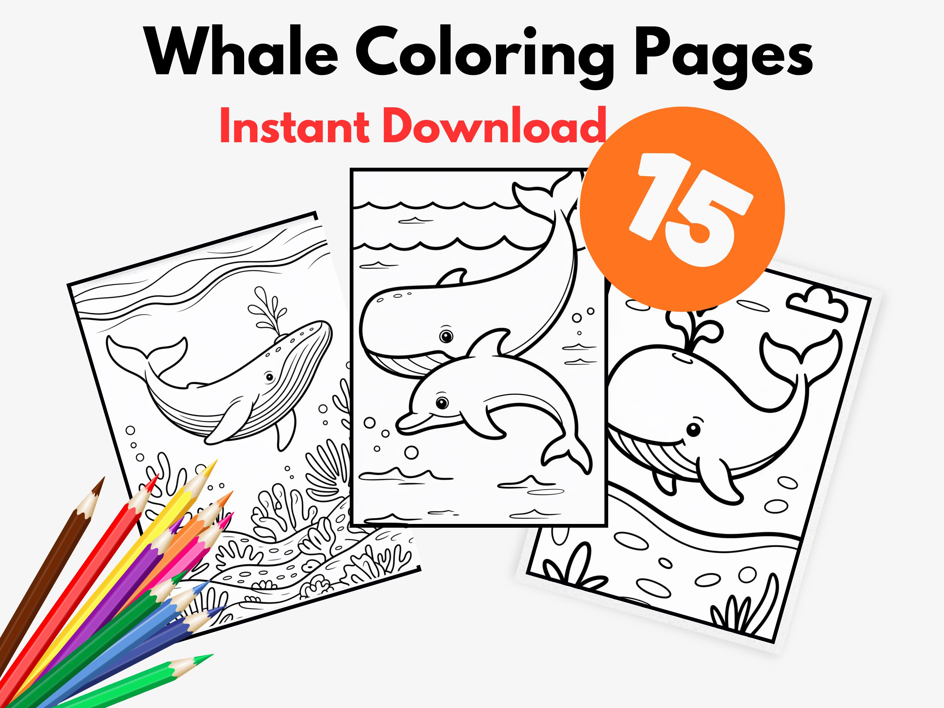 Whale Coloring Pages for Kids | 15 Ocean Animal Sheets (printable PDF ...