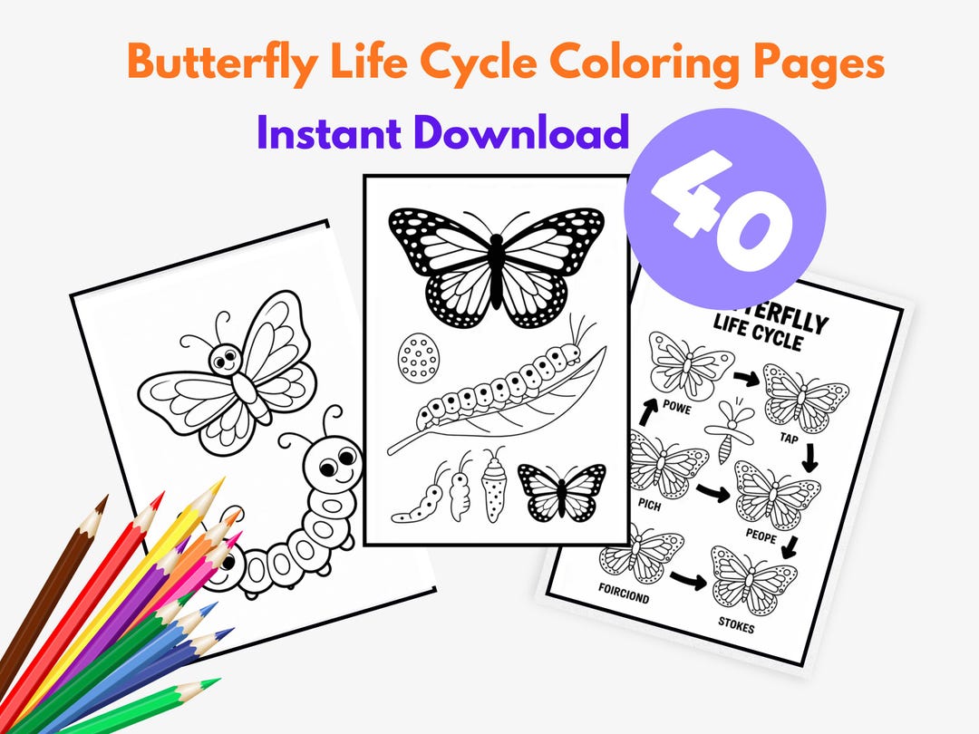 40 Butterfly Life Cycle Coloring Pages | Kids Science Activity (digital ...