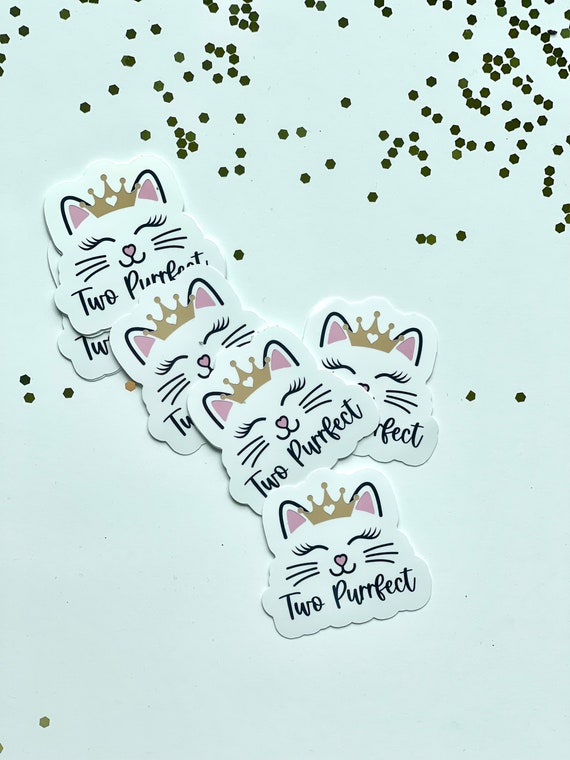 Two Purrrfect Sticker Pack Birthday Party Favors Treat Bag - Etsy