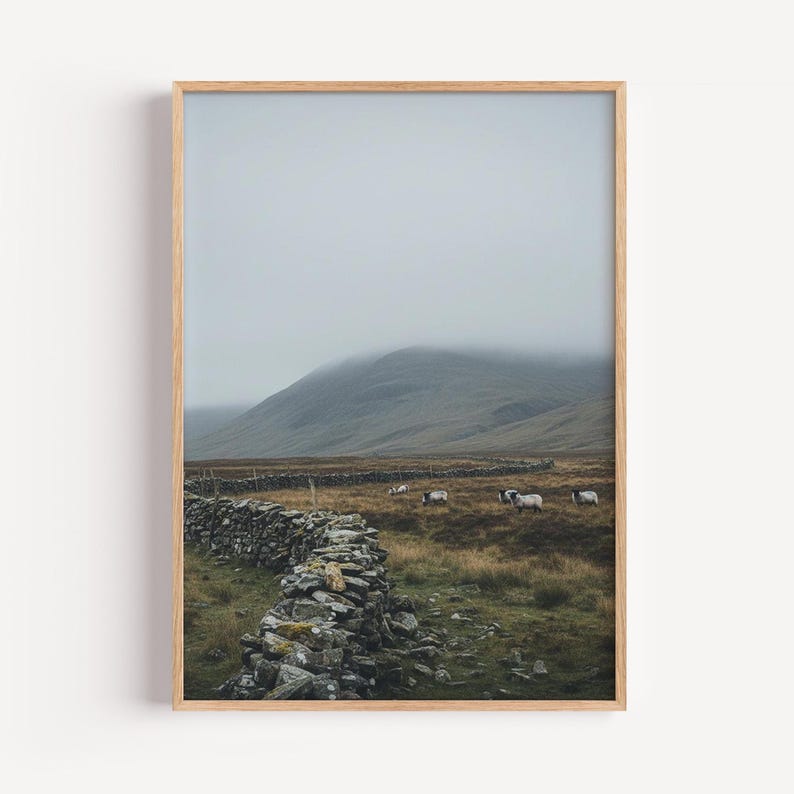 Highland Sheep Print, Scotland Countryside, Misty Pastoral Digital ...