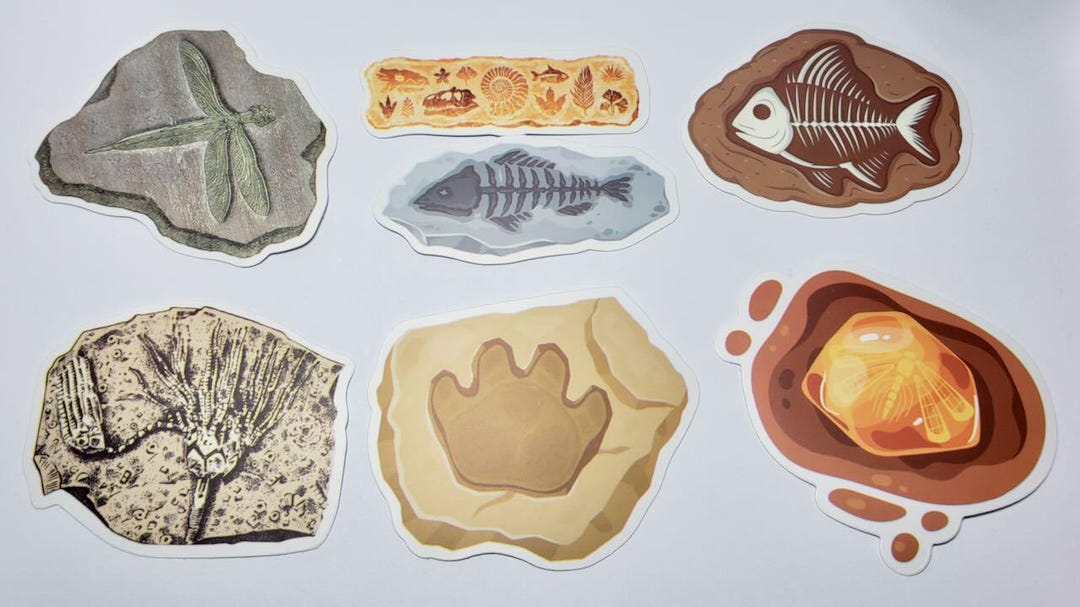 Fossil Lovers Stickers Bundle Pack E Laptop Notebook Phone Tablet ...