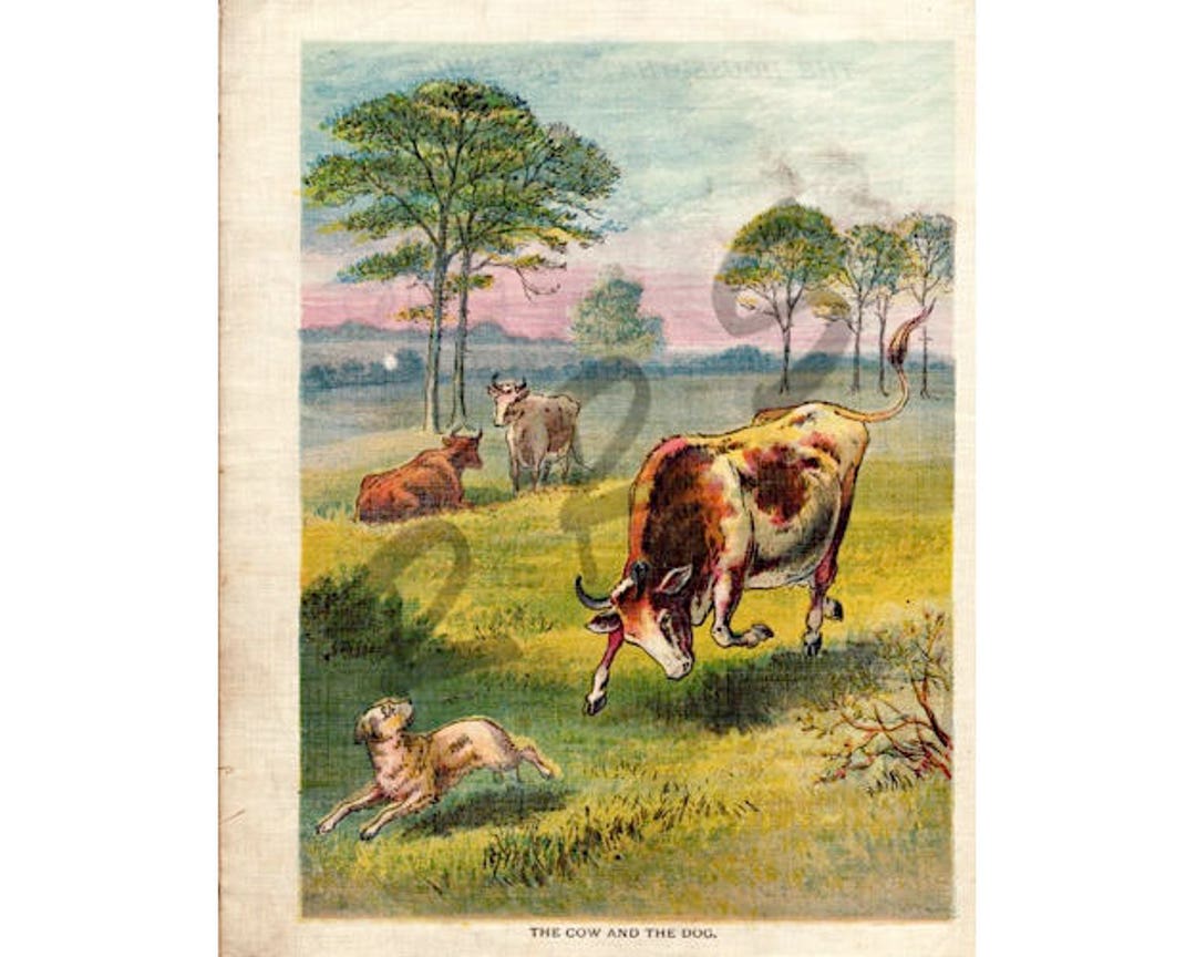 Victorian Mcloughlin Print, Cow and Dog Illustration (digital Download ...