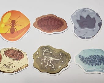 Florida State Stickers Pack Bundle A Travel Laptop Notebook Phone ...