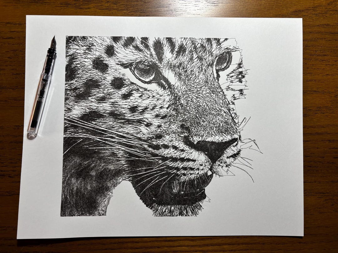 Cheetah Ink Sketch, Ink Drawing, Cheetah Art, Nature Inspired ...