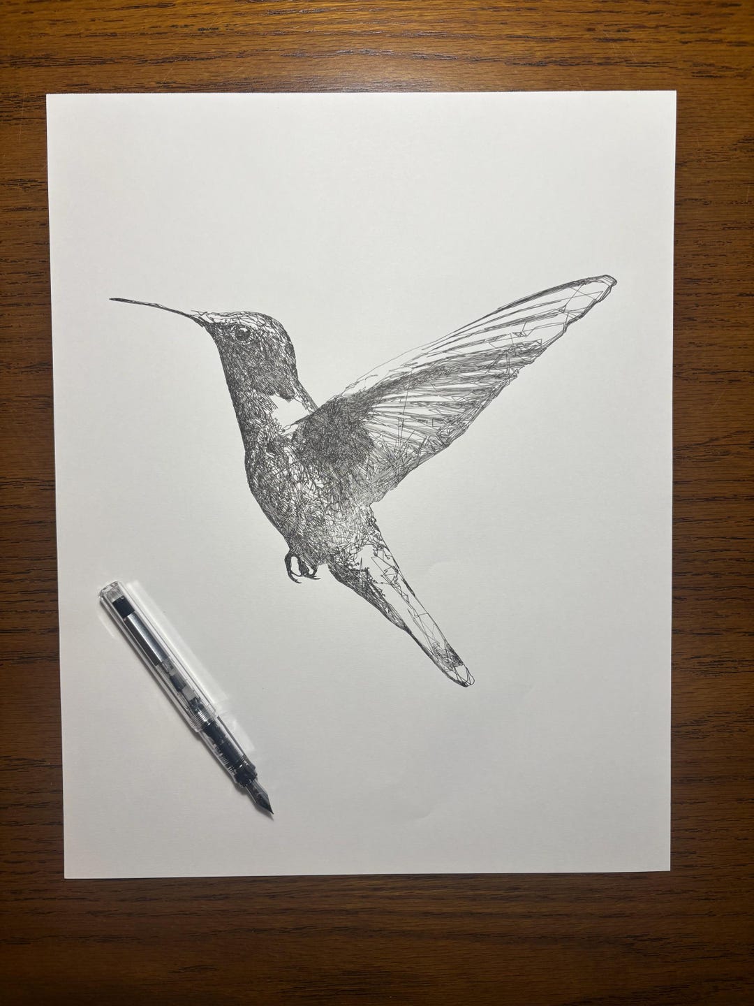 Hummingbird Ink Sketch, Scribble Drawing - Etsy