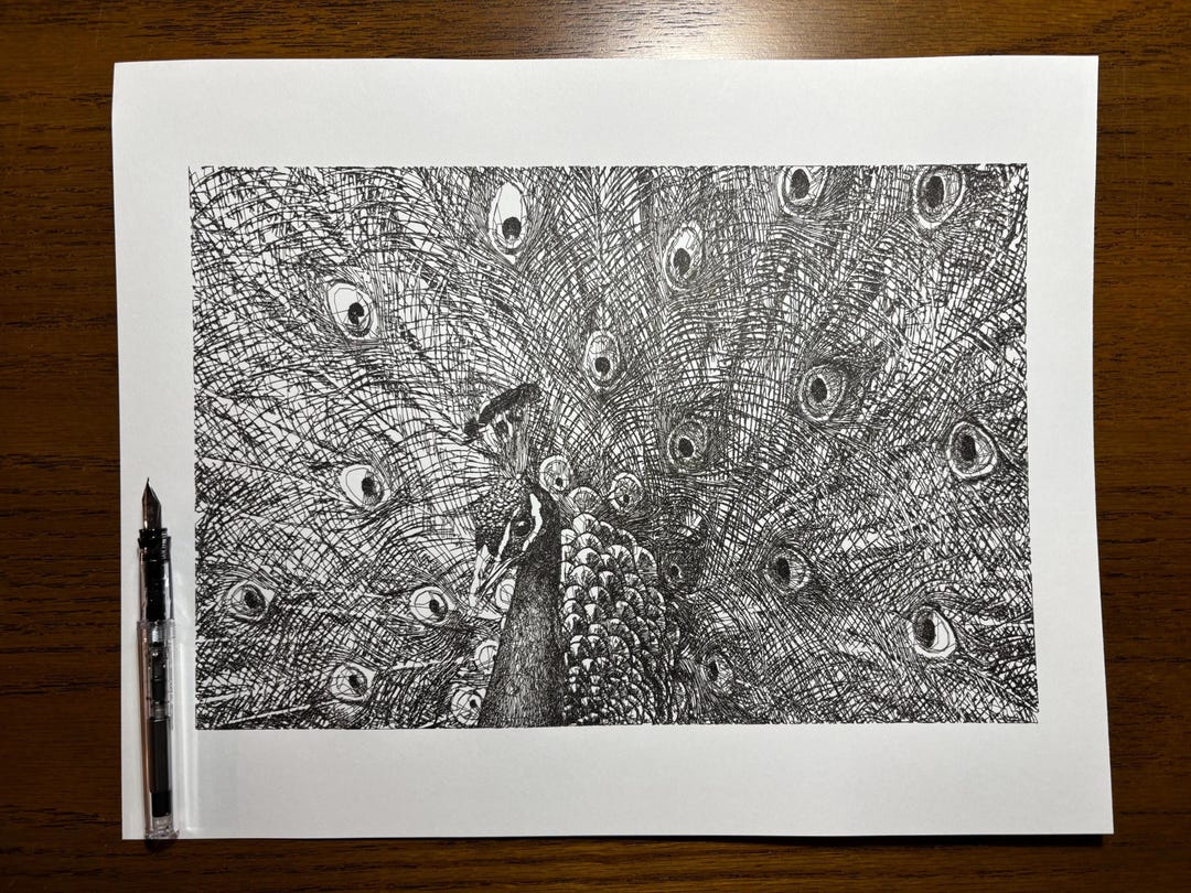 Peacock Ink Drawing, Scribble Line Art, 11x14 Sketch, Home Decor - Etsy