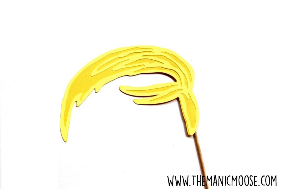 Photo Booth Props - Famous Politician Hair - Combover Hair Prop ...