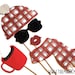 Photo Booth Props DELUXE Pirate Prop Set 8 Props on a Stick Birthdays ...