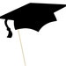 Graduation Cap Photo Booth Prop - Birthdays, Graduations, Parties ...