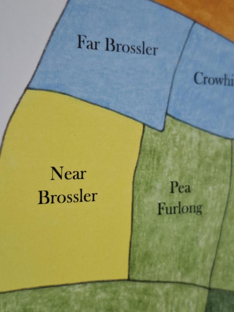 Diddly Squat Farm (clarkson's Farm) Field Names Map Illustration. A3 ...