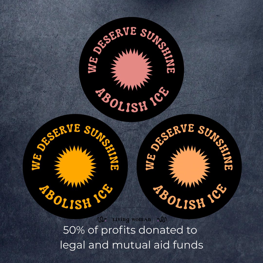Abolish ICE Sticker | We Deserve Sunshine, Legal Aid Fundraiser - Etsy