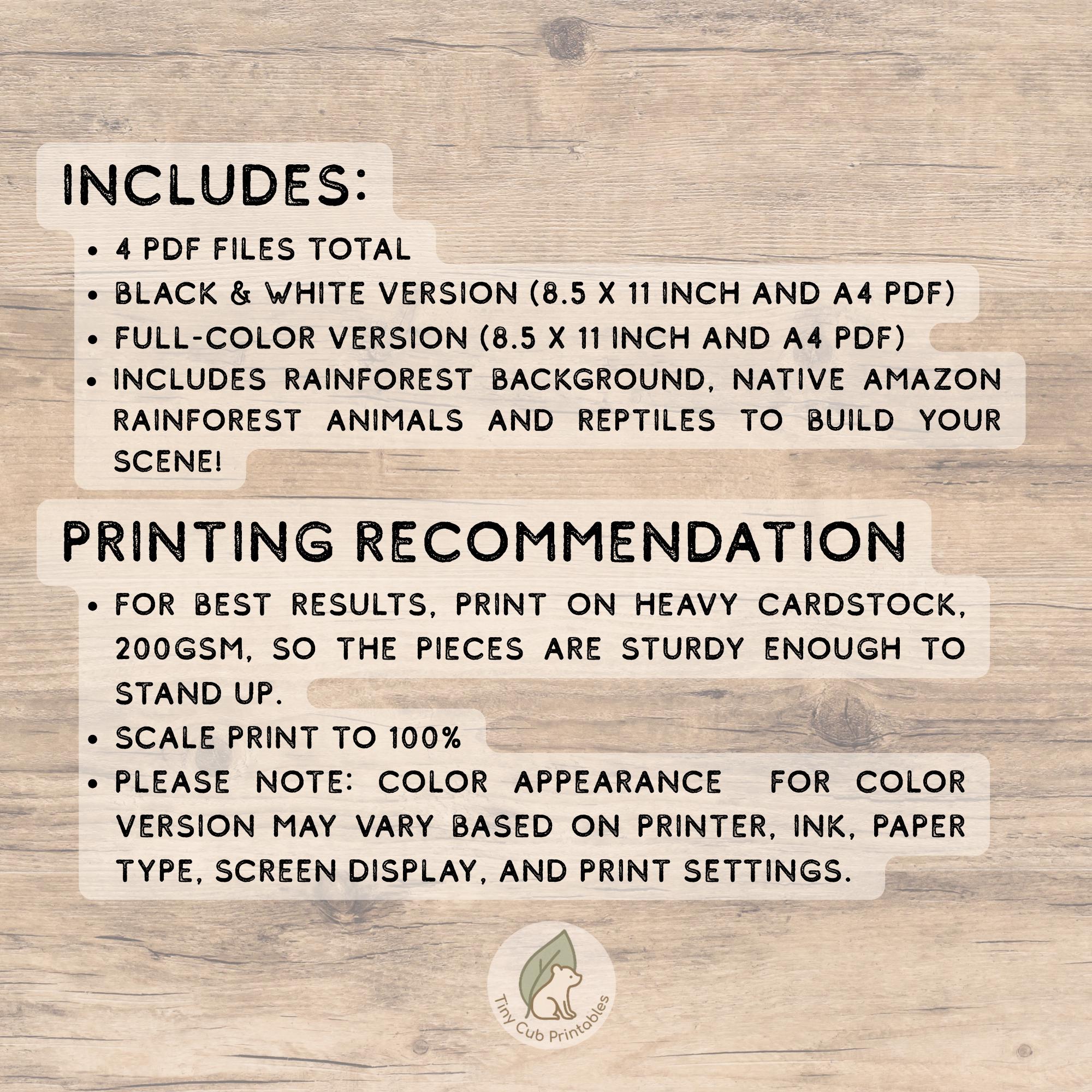 Rainforest Animals Cut and Paste Craft for Kids | Amazon Rainforest ...