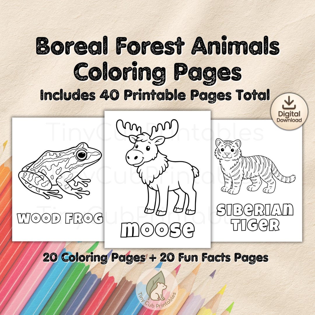 Boreal Forest Animals Coloring Pages | Taiga Biome Wildlife Coloring ...