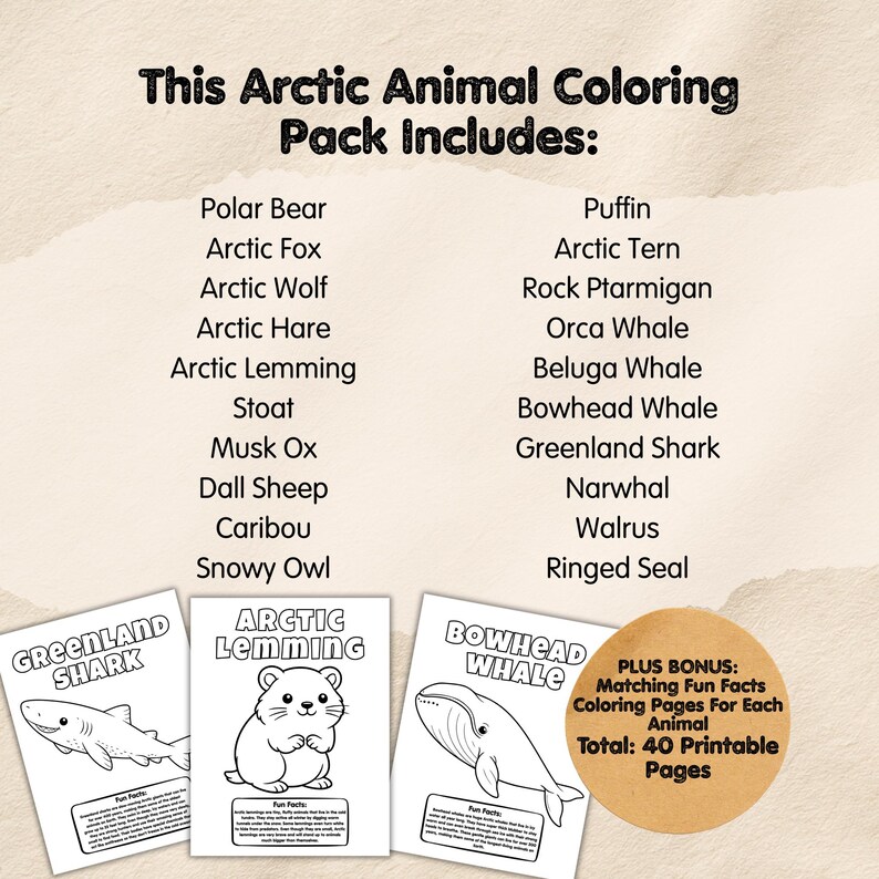 Arctic Animals Coloring Pages With Fun Facts | Winter Animal Coloring ...